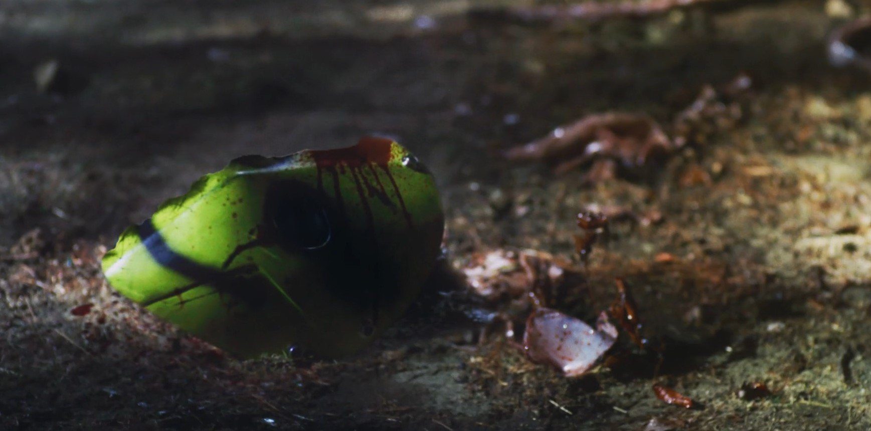 'Overkill' 2021 Short Film Review > Horror Facts