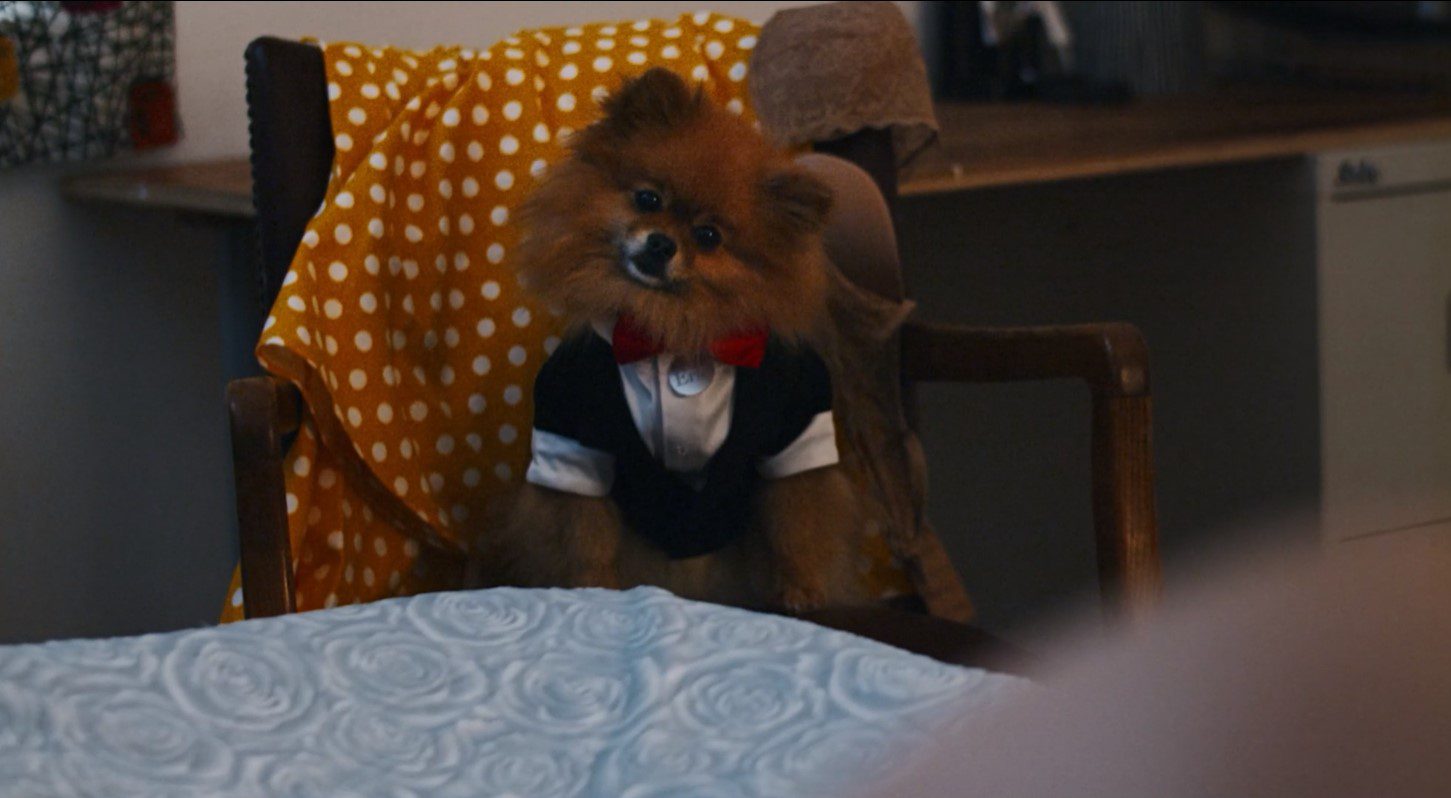 'Eric' Short Horror Film Review - Horror Facts